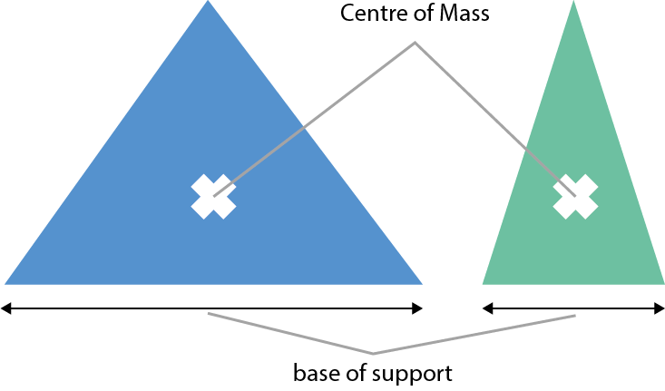 Component 6 - Biomechanical principles