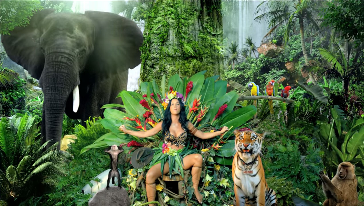 Target Audience – Katy Perry | Music
