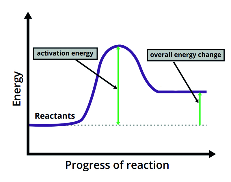 UNFAIR GAME: Unit 2 Chemistry of Life Jeopardy Template